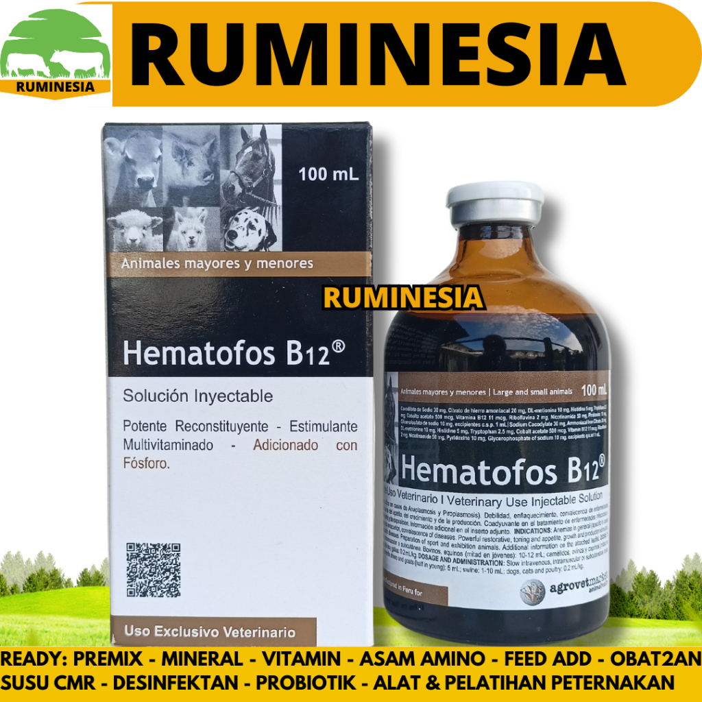 Jual HEMATOFOS B12 100ML - Obat Penambah Darah & Pemacu Pertumbuhan ...