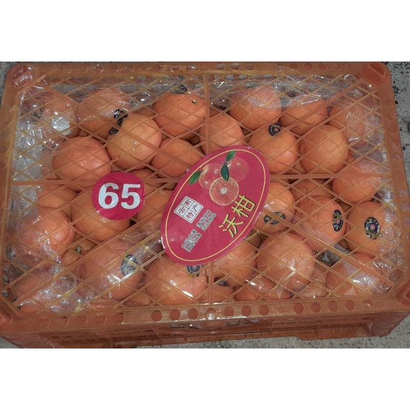 Jual Jeruk Wogan Mini,Kecil 1 keranjang 5,5 kg | Shopee Indonesia