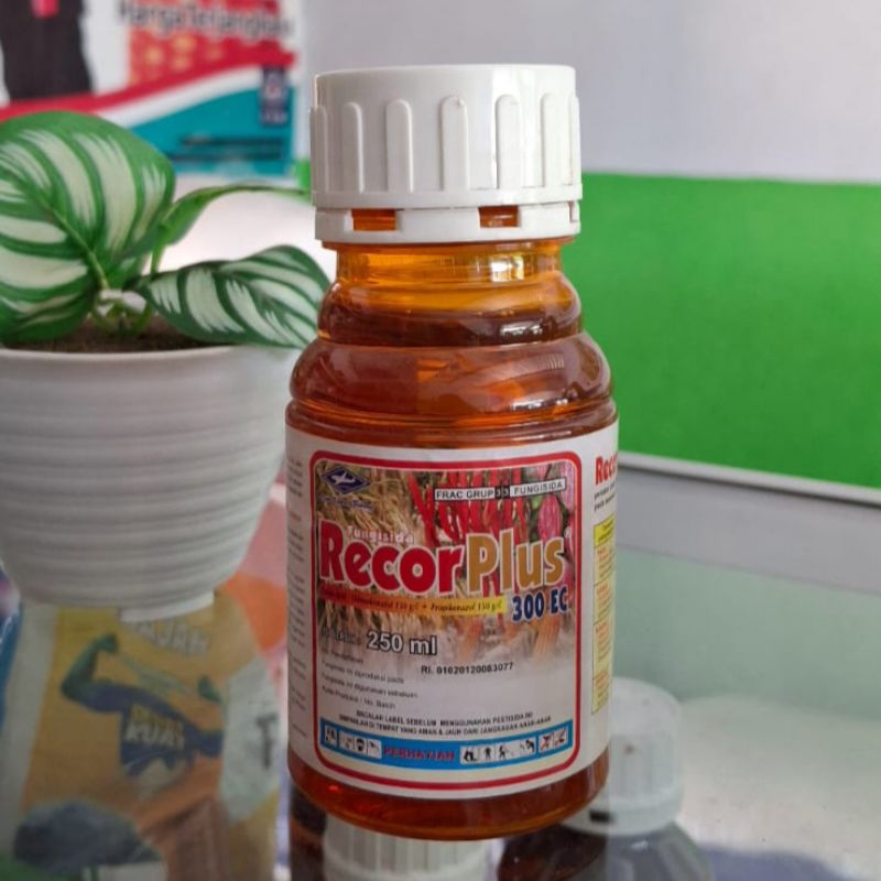 Jual Fungisida recor plus recorplus rekor plus sundep | Shopee Indonesia