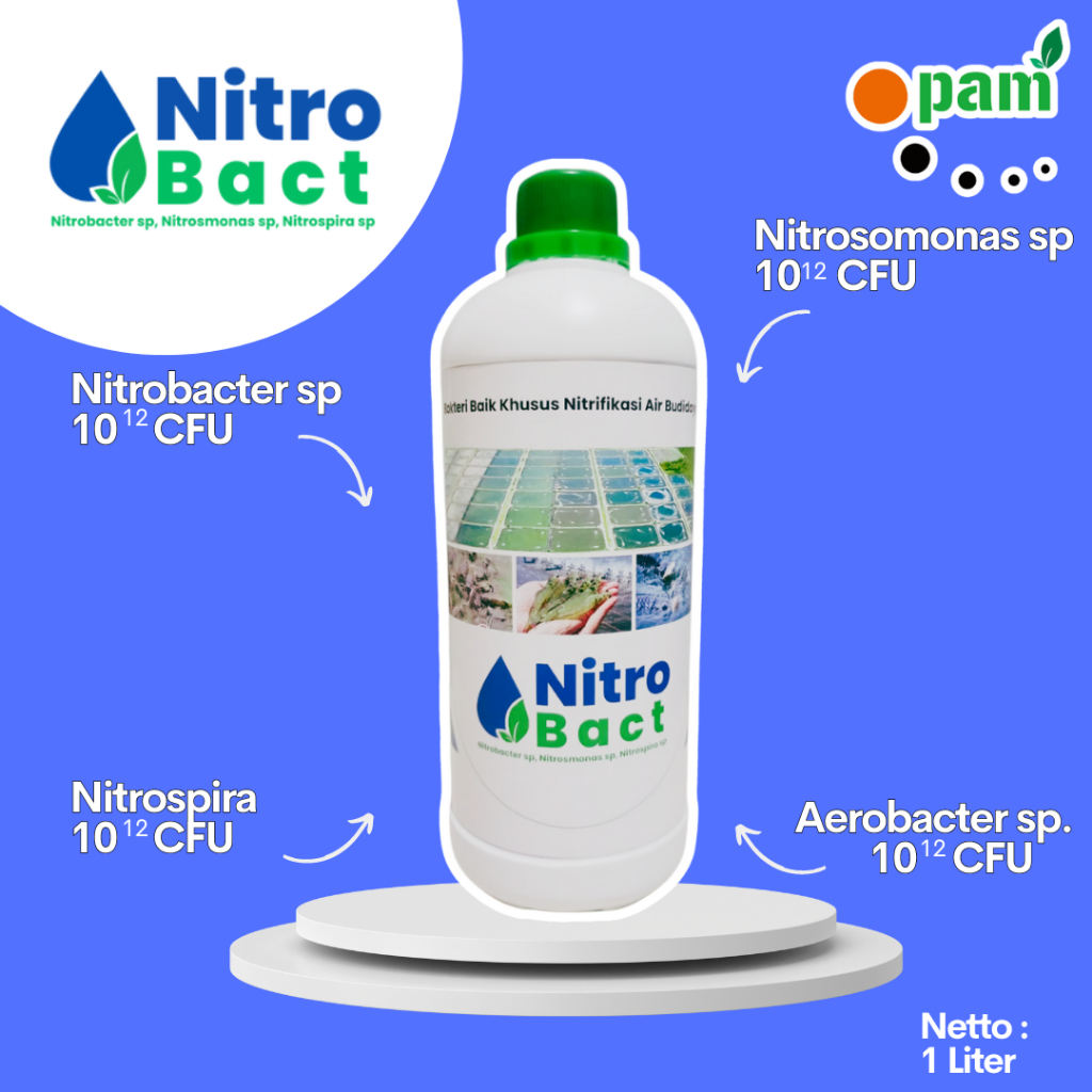 Jual Nitrobact - Nitrifikasi Kolam Ikan dan Udang (Nitrobacter ...