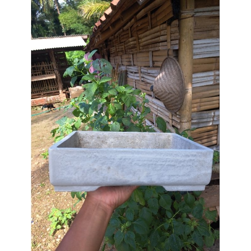 Jual Pot semen medium mentahan/pot bonsai/pot bunga/pot bunga aesthetic ...