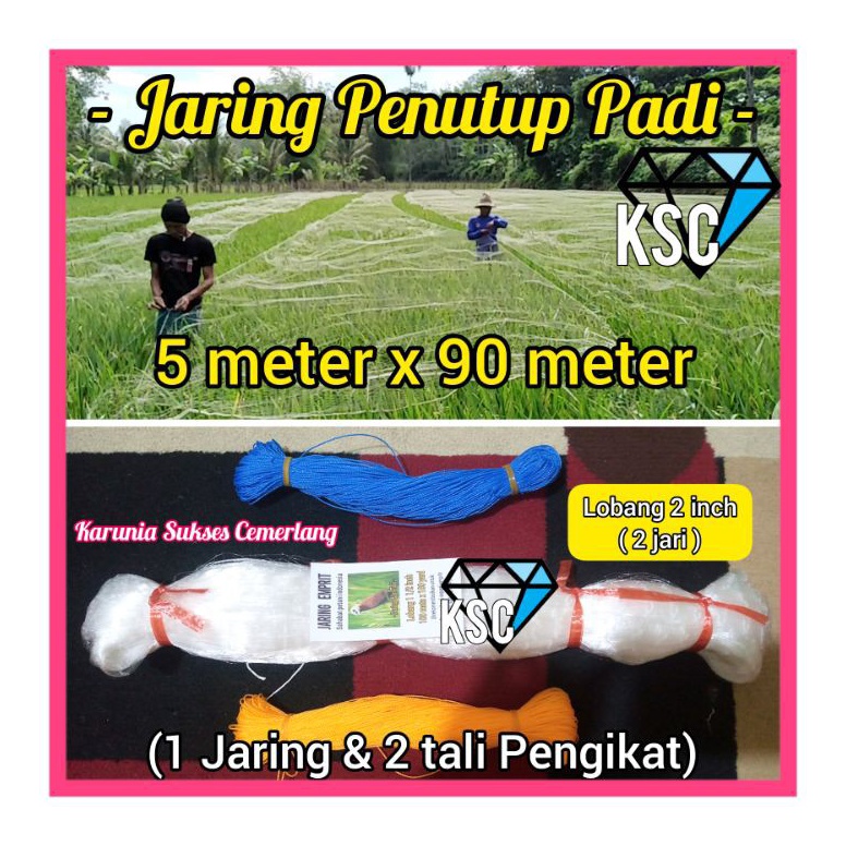 Jual KODE S99B JARING BURUNG PIPIT 2 INCH BONUS TALI JARING TUTUP SAWAH JARING PADI DAN MINA ...