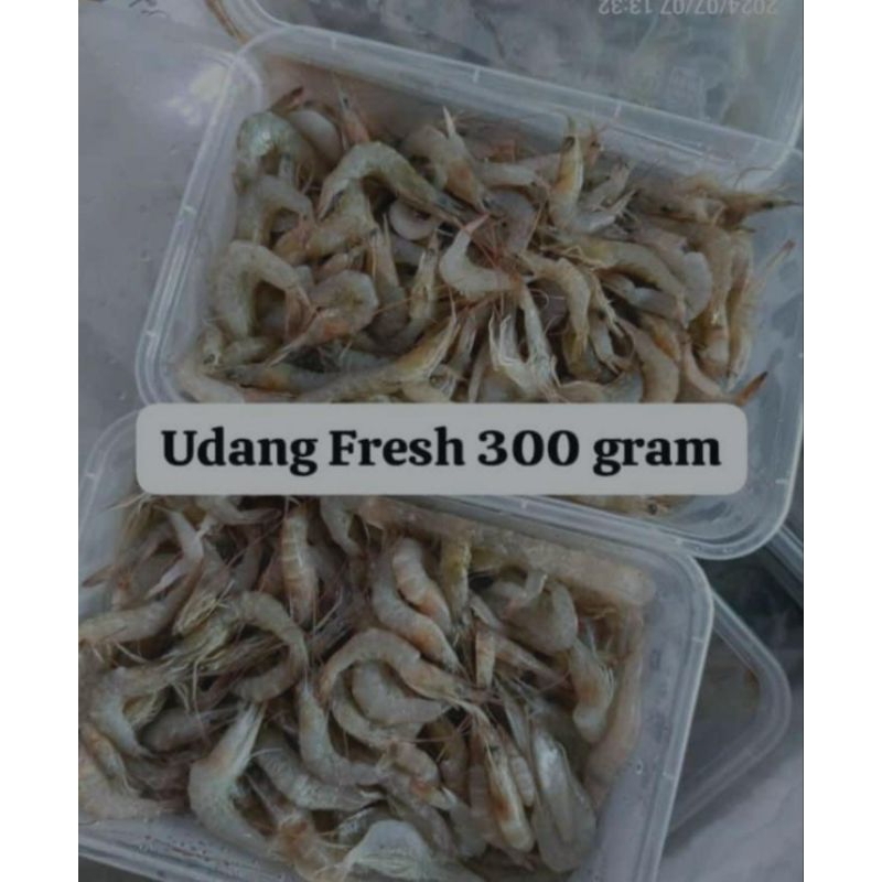 Jual Udang Fresh 300gr Box | Shopee Indonesia