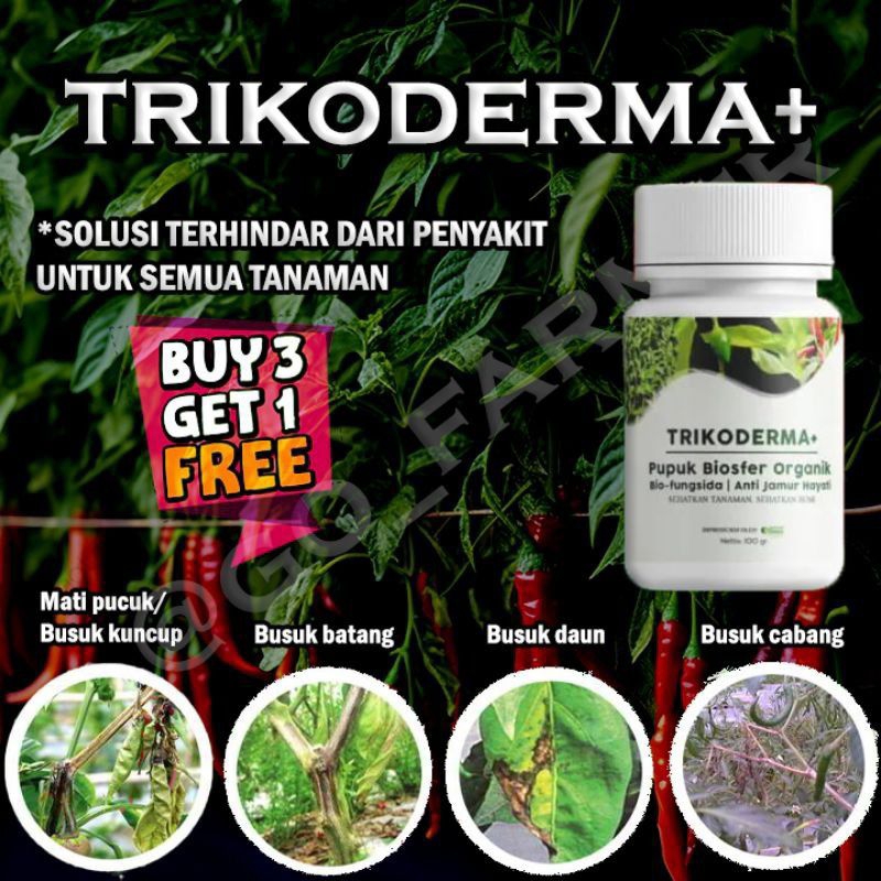 Jual PUPUK TRIKODERMA BELI 3 GRATIS 1!!!Bio-Fungisida-Tricoderma Plus ...