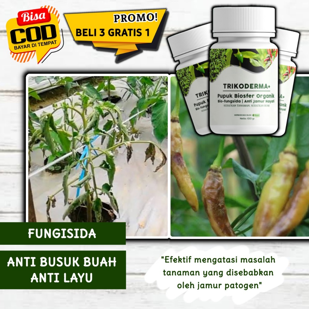 Jual Trikoderma Fungsida beli 3 gratis 1 Tricoderma Plus Pupuk Biosfer ...