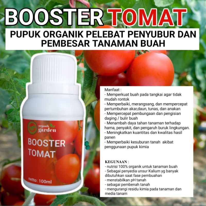 Jual TOMAT | booster cair nutrisi vitamin buah TOMAT 100ml | Shopee Indonesia
