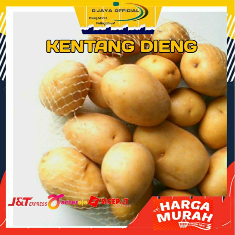 Jual Kentang Dieng Kuning Ukuran Sedang 1kg | Shopee Indonesia