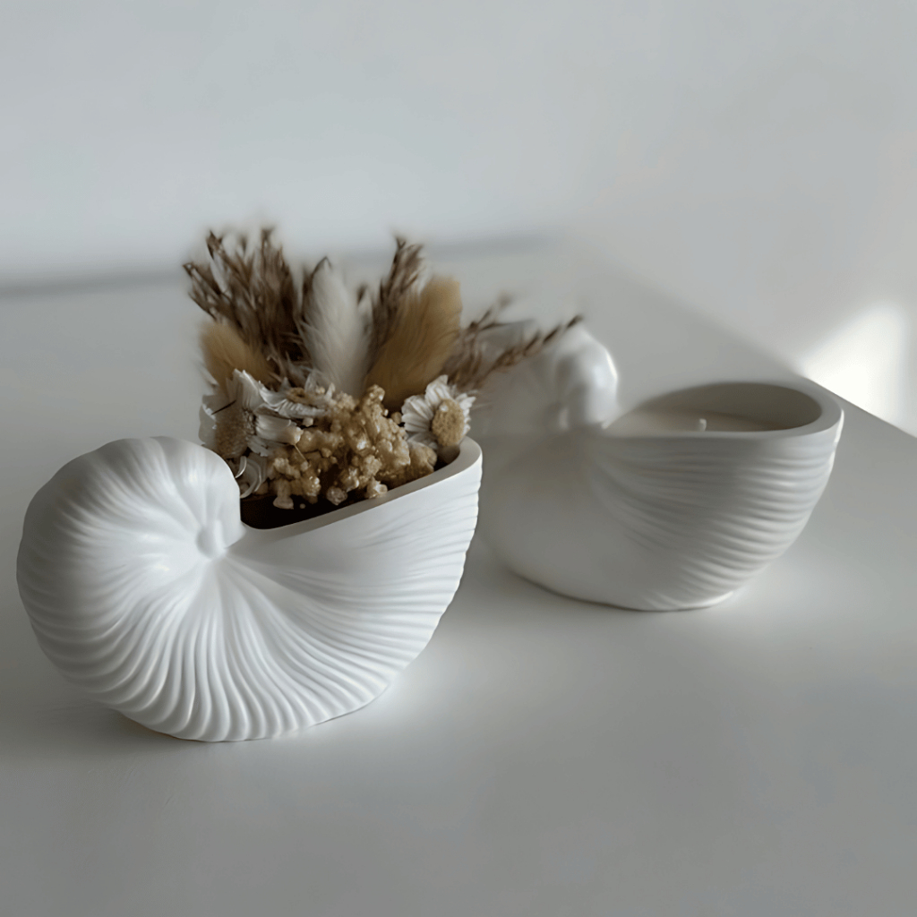 Jual Drew Shell - Hiasan Kerang Mewah untuk Pajangan & Konten Aesthetic ...