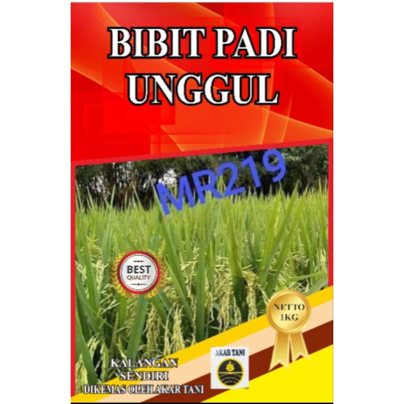 Jual Benih padi MR 219 original 1 kg | Shopee Indonesia