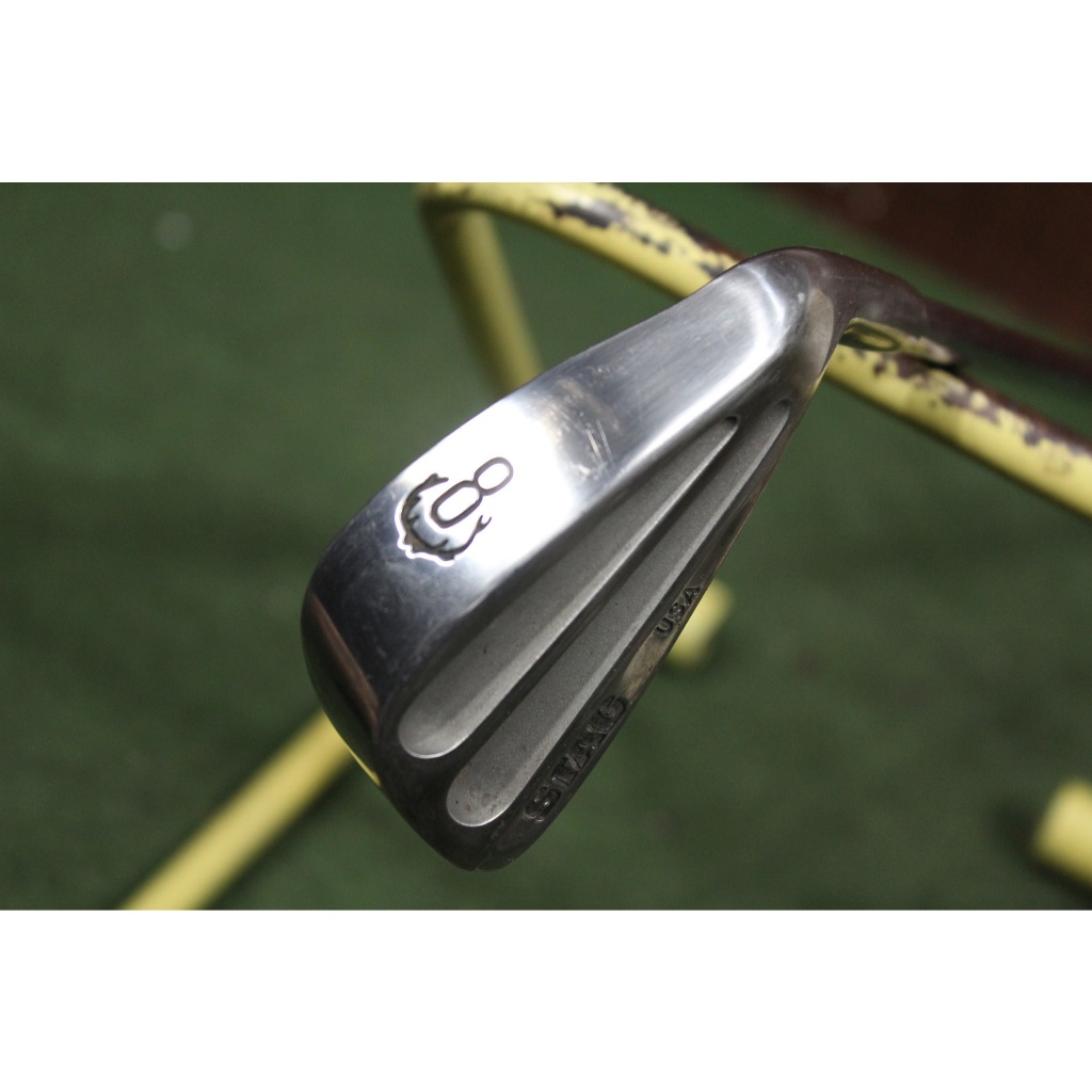 Jual Stick Golf Iron No. 8 STAG USA | Shopee Indonesia