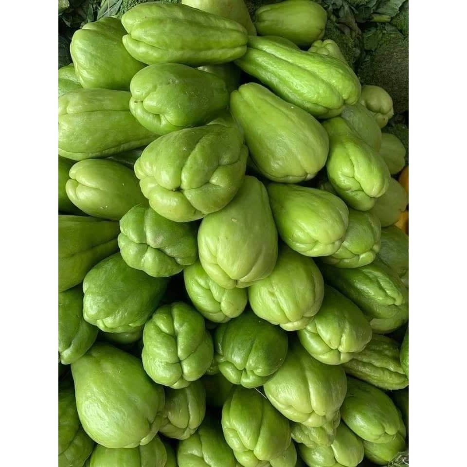 Jual Labu Siam Besar 1kg | Shopee Indonesia