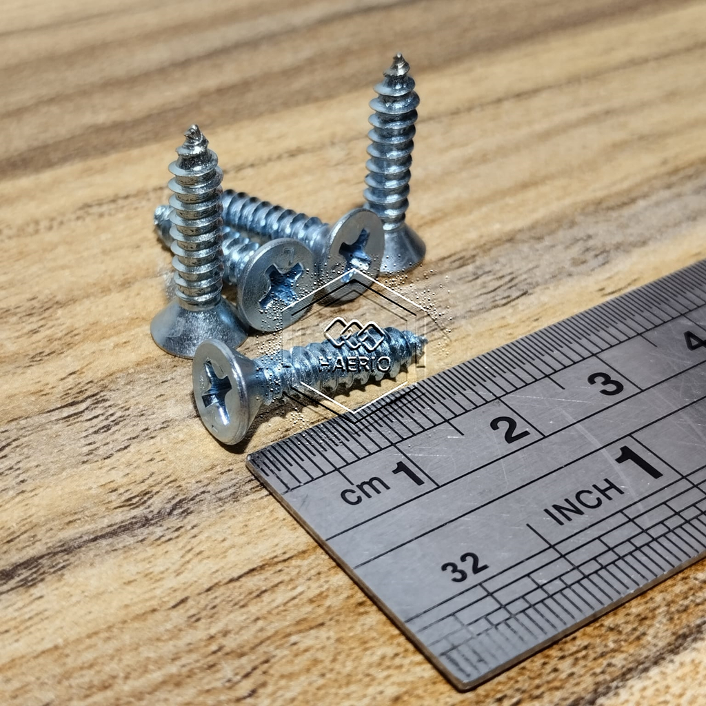 Jual SEKRUP SKRUP FH FAB F+AB TAPPING 8X3/4 PANJANG 2CM TAPING SCREW 8 ...