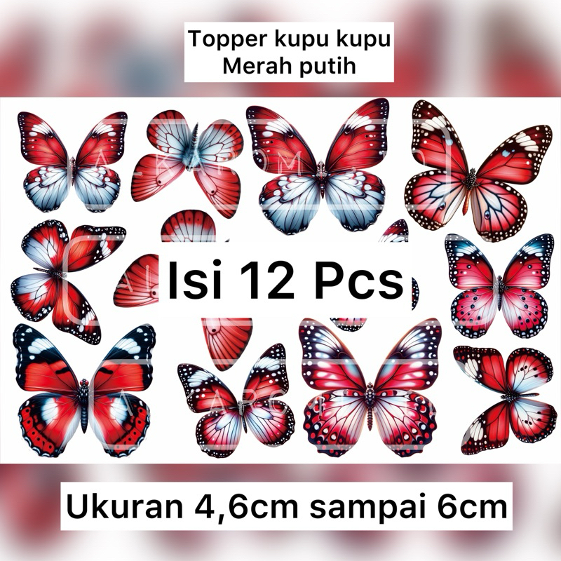 Jual Topper kupu kupu isi 12 Pcs kertas A5+ | Shopee Indonesia