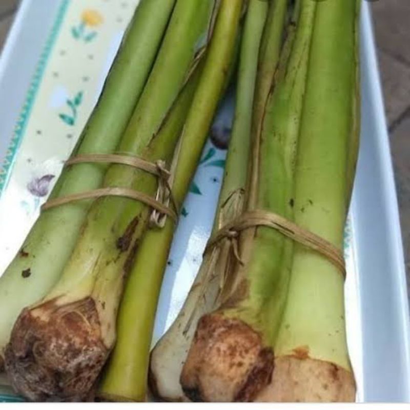 Jual Sayur Talas / sayur lompong sayat enak tidak gatal isi 4 batang ...