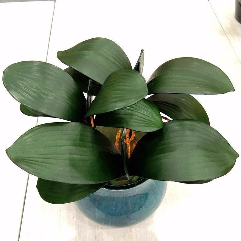 Jual Daun Anggrek + Akar LATEX TEBAL - Daun Bunga Anggrek Artificial ...