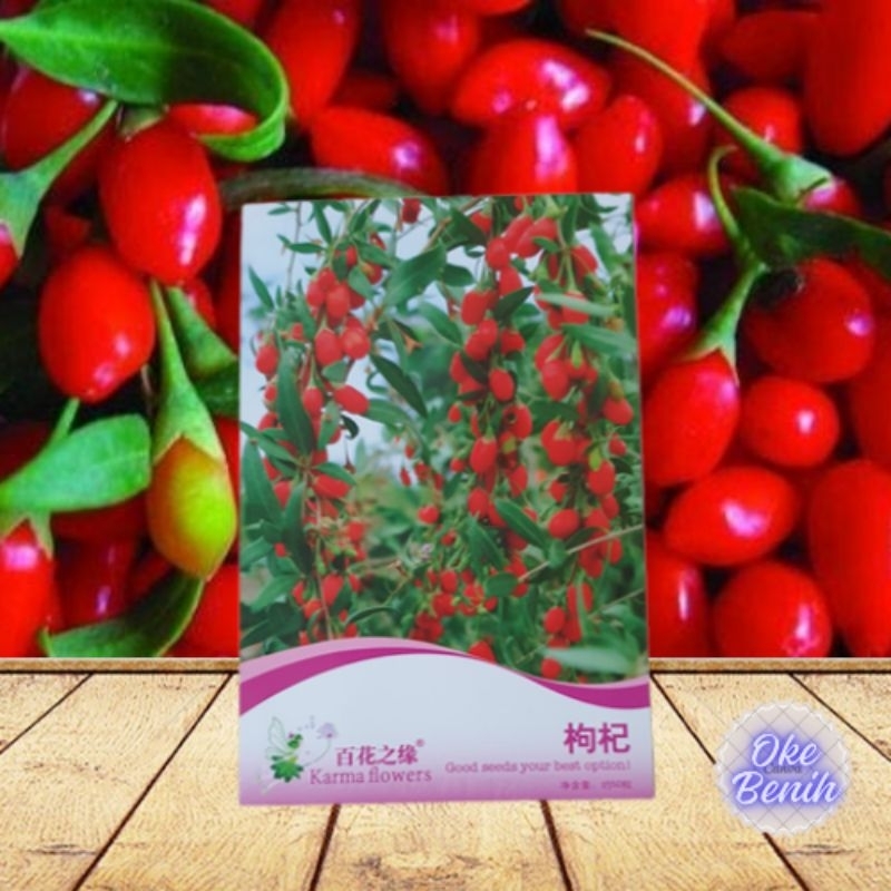 Jual KEMASAN ORIGINAL -+50 BUTIR BENIH GOJI BERRY IMPORT | Shopee Indonesia
