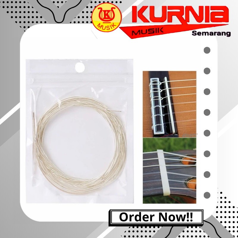 Jual Fuji Senar Gitar Akustik Eceran - Senar Nylon | Shopee Indonesia