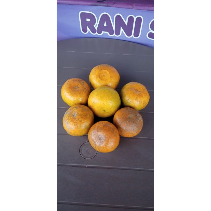 Jual [Rani Shop] Supplier Jeruk Slayer Kintamani Partai Besar dan Kecil ...
