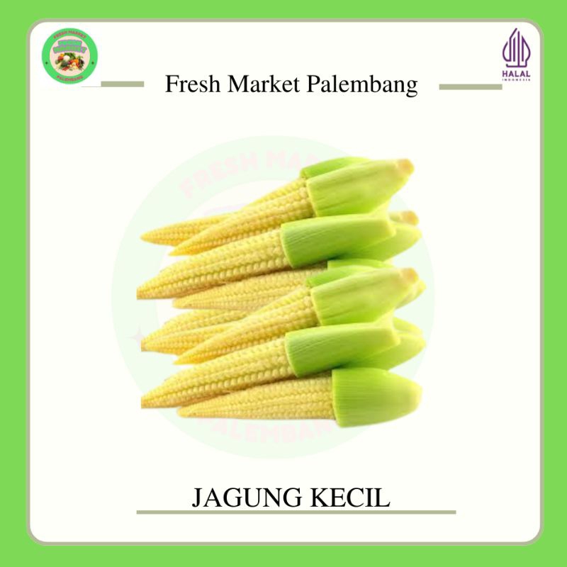Jual Jagung muda putren - Baby corn -Fresh Market Palembang- | Shopee ...