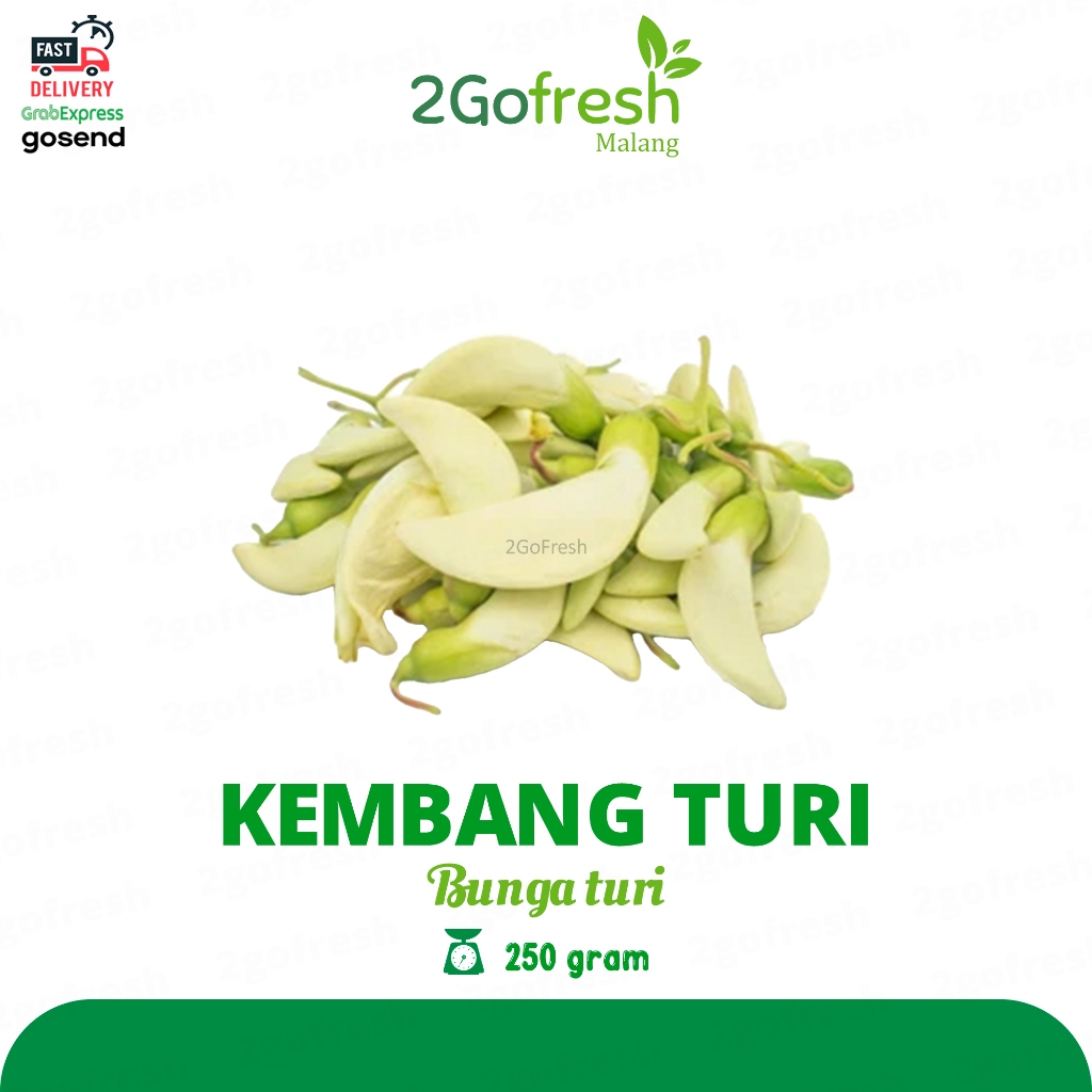 Jual Kembang Turi / Bunga Turi Fresh - Sayuran | Shopee Indonesia