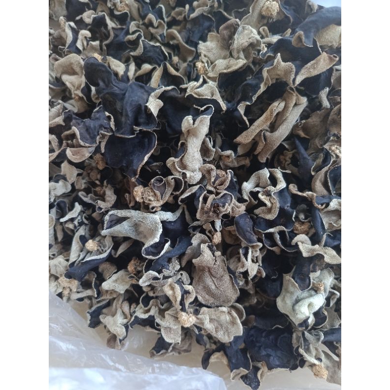 Jual jamur kuping hitam kering 1kg gread B . lebih dari 1 kg | Shopee ...