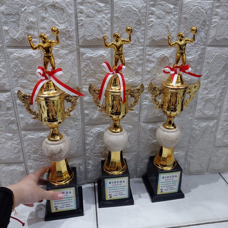 Jual trophy Piala win marmer volleyball bola voli 1 buah | Shopee Indonesia