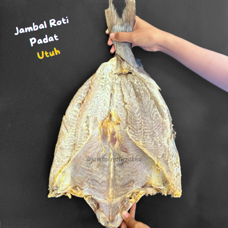 Jual [COD]Ikan Asin Jambal Roti Padat Utuh Jumbo tidak ngeprul + free ...