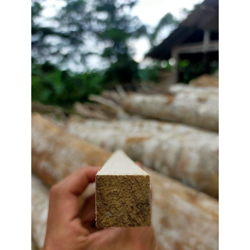 Jual Kayu Reng 2x2 CM Panjang 200Cm (PAKET 10BATANG) SOLID | Shopee ...