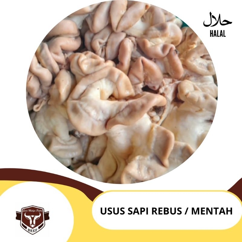 Jual usus sapi / jeroan usus / iso sapi bersih 500gr | Shopee Indonesia