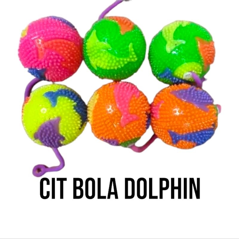 Jual Mainan anak Cit Cit Bola Dolphin | Shopee Indonesia