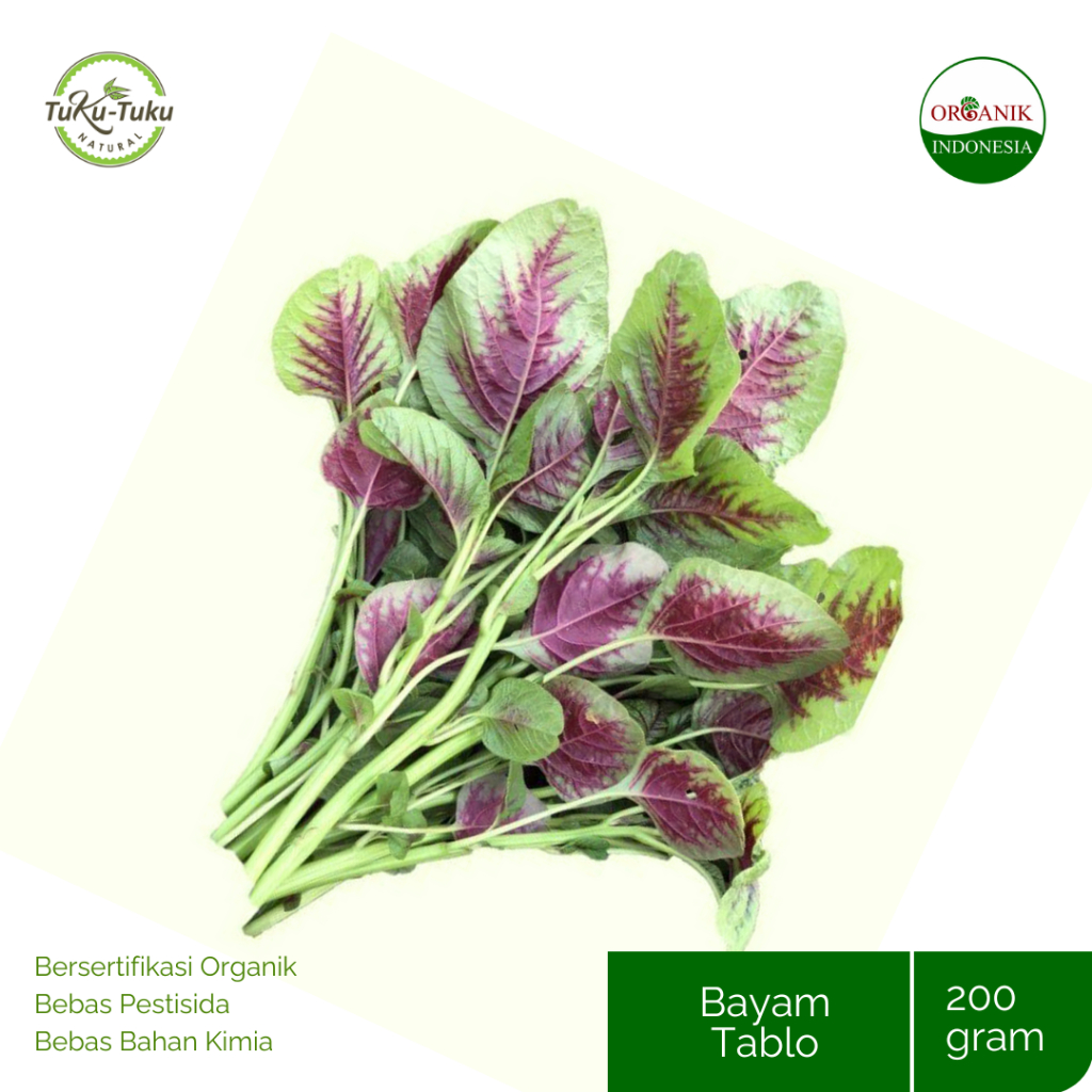 Jual BAYAM TABLO / BAYAM BATIK ORGANIK BSP FARM 200GR | Shopee Indonesia