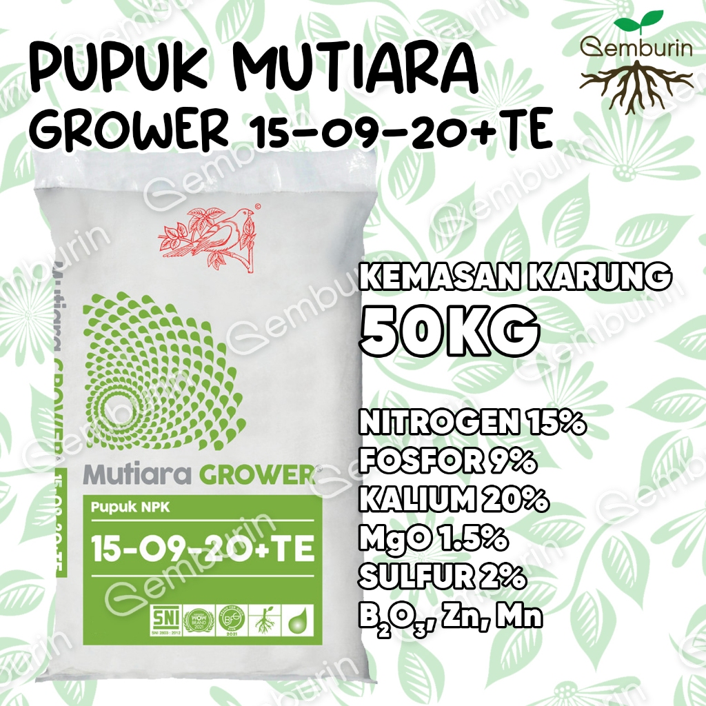 Jual Pupuk NPK Mutiara Grower 15-09-20+TE Hijau KARUNG 50KG Kemasan ...