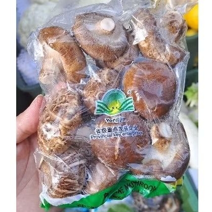 Jual jamur shitake pack | Shopee Indonesia