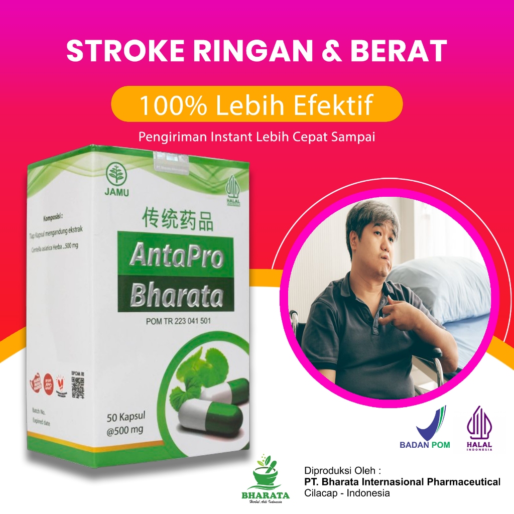 Jual Obat Stroke Herbal Premium Obat Stroke Ringan Berat Kolesterol ...