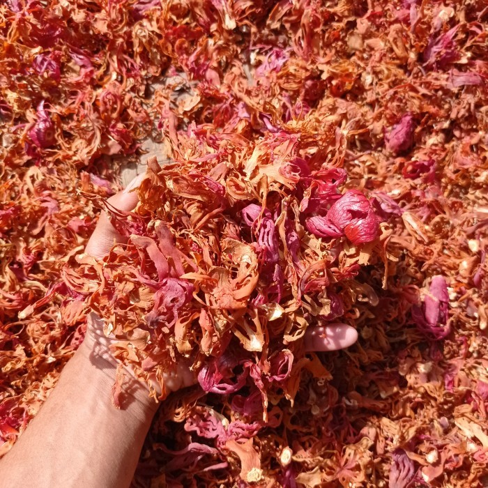 Jual Bunga pala kering / sempra bunga buah pala / puli ( murah 1 kg ...