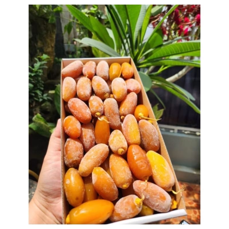 Jual KURMA RUTHOB || KURMA RUTHOB KEMASAN 1 KG | Shopee Indonesia