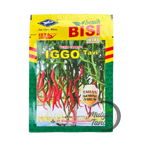 Jual Benih Cabe Keriting Iggo Tavi 10gram Cap Kapal Terbang Bisi | Shopee Indonesia