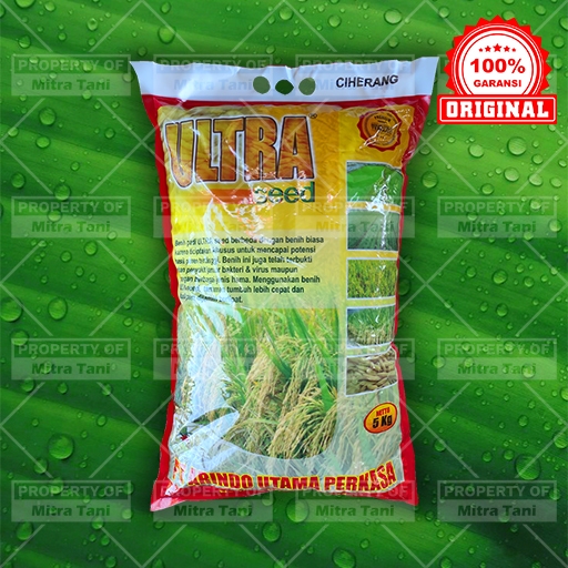 Jual CIHERANG Benih Padi Premium Ultra Seed SS Original 5 KG | Shopee ...