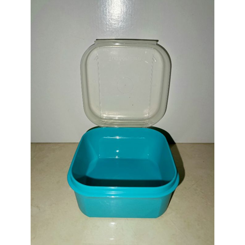 Jual TUPPERWARE KOTAK POLOS MINI SIGNATURE(1) | Shopee Indonesia