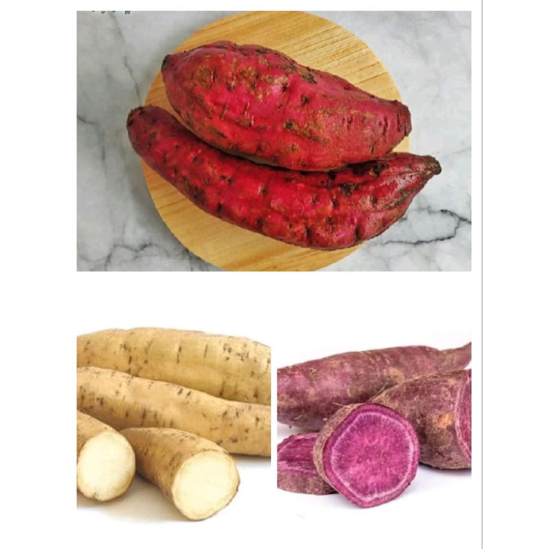 Jual Ubi Ungu | Ubi Putih | Ubi Merah Manis Papapangan 500gram | Shopee ...