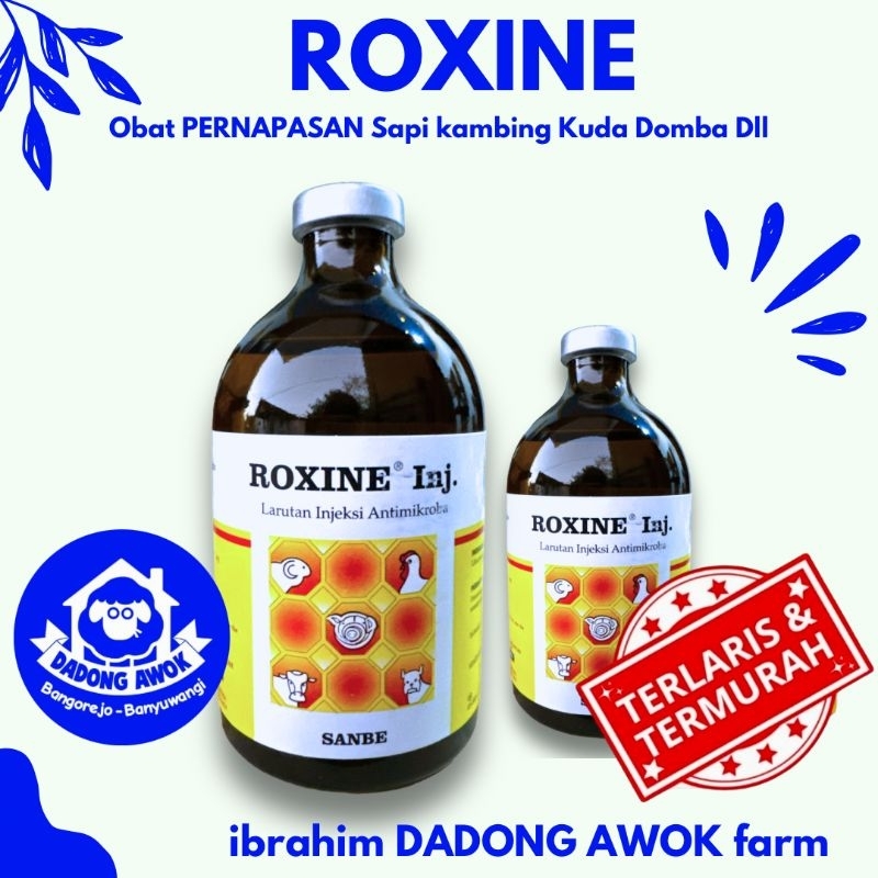 Jual OBAT BATUK PILEK - ROXINE INJEKSI 100ml - OBAT Pernafasan Sapi ...