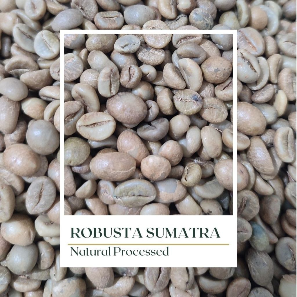 Jual Green Bean Robusta Sumatra Grade 1 Grade A Fine Grade | Shopee ...