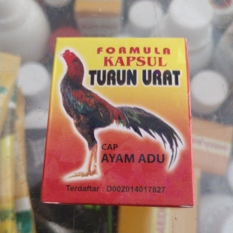 Jual Formula kapsul turun urat ayam adu bangkok | Shopee Indonesia