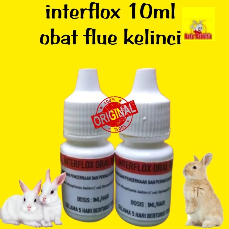 Jual Interflox 10mg dan intracox 10mg oral obat mencret kembung flue ...