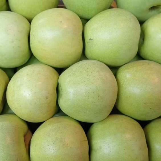 Jual Buah Apel hijau / apel malang 1 kg | Shopee Indonesia