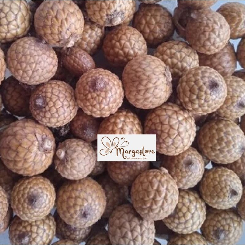 Jual Buah Biji Rotan 1kg Buah Rotan Rustik Dekorasi | Shopee Indonesia