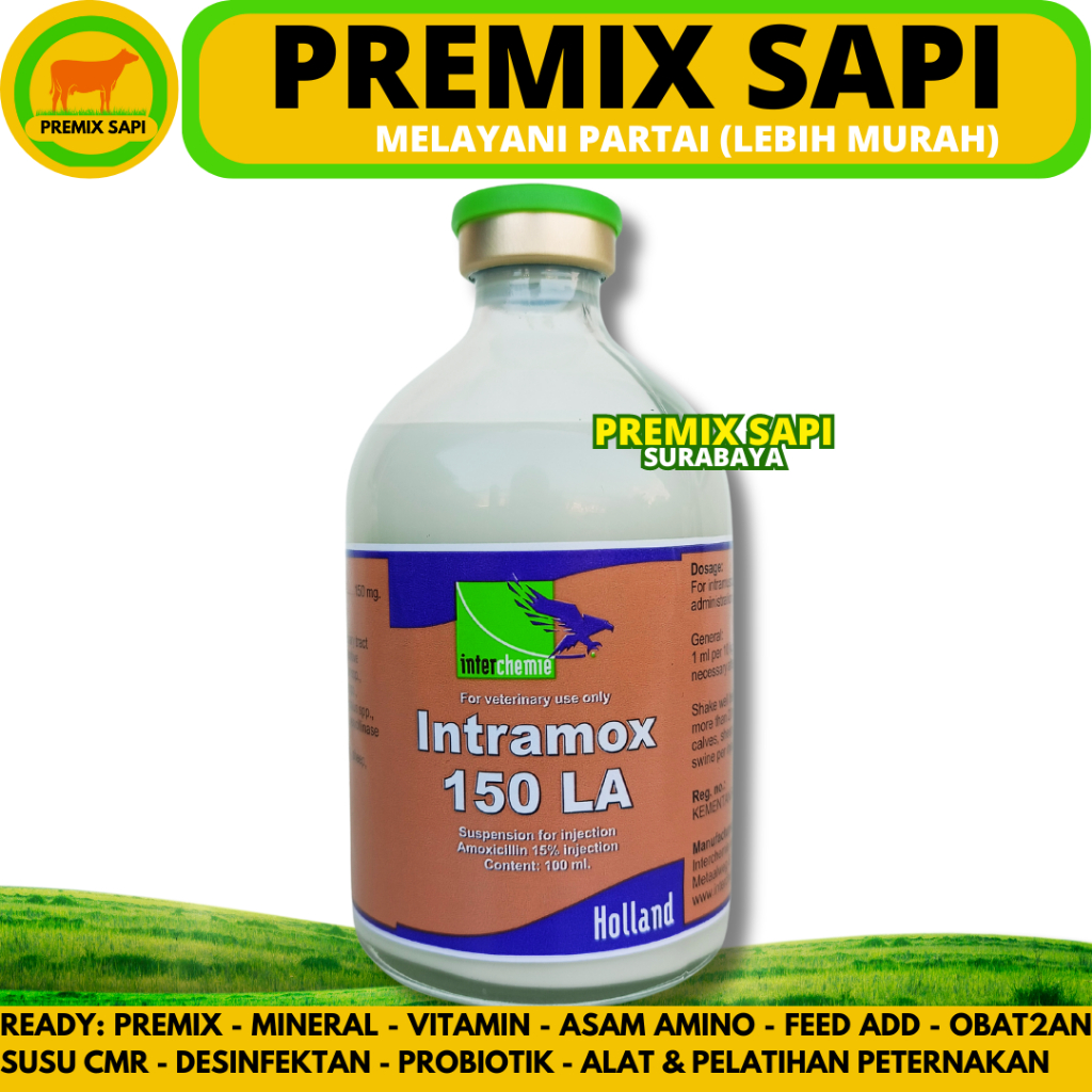 Jual INTRAMOX LA 150 ORANGE 100 ml - Obat Hewan Amoxyciline Long Acting ...