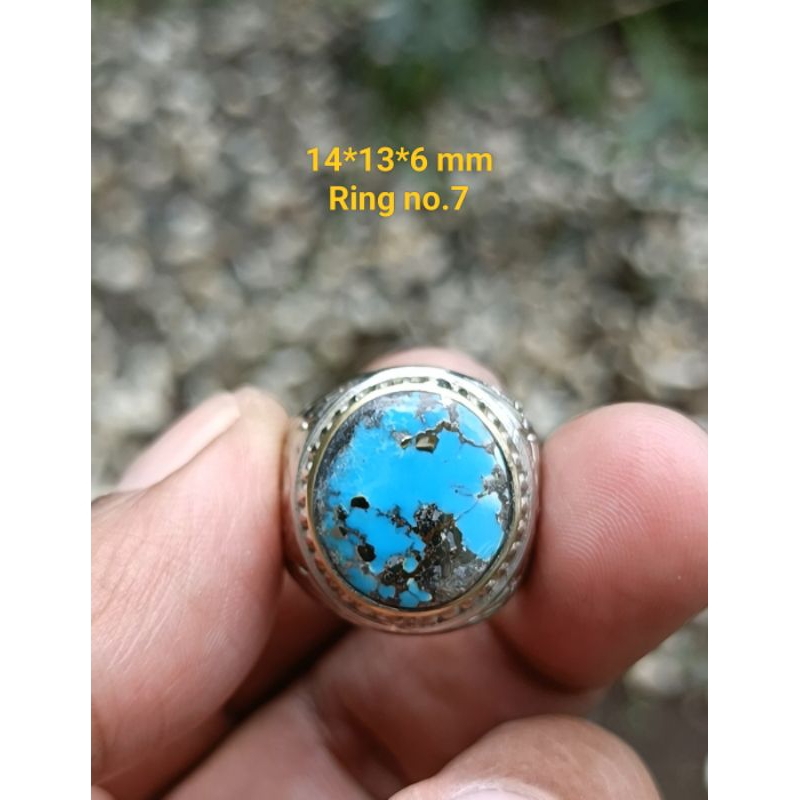 Jual Pirus Persia | Shopee Indonesia