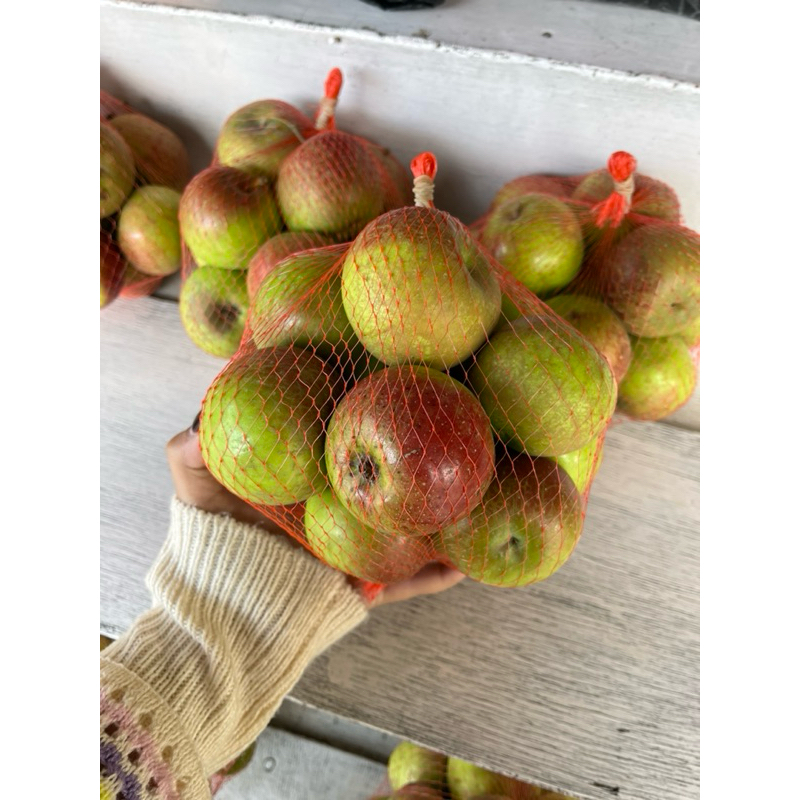 Jual Apel Romebeauty asli khas Batu Malang 1kg | Shopee Indonesia