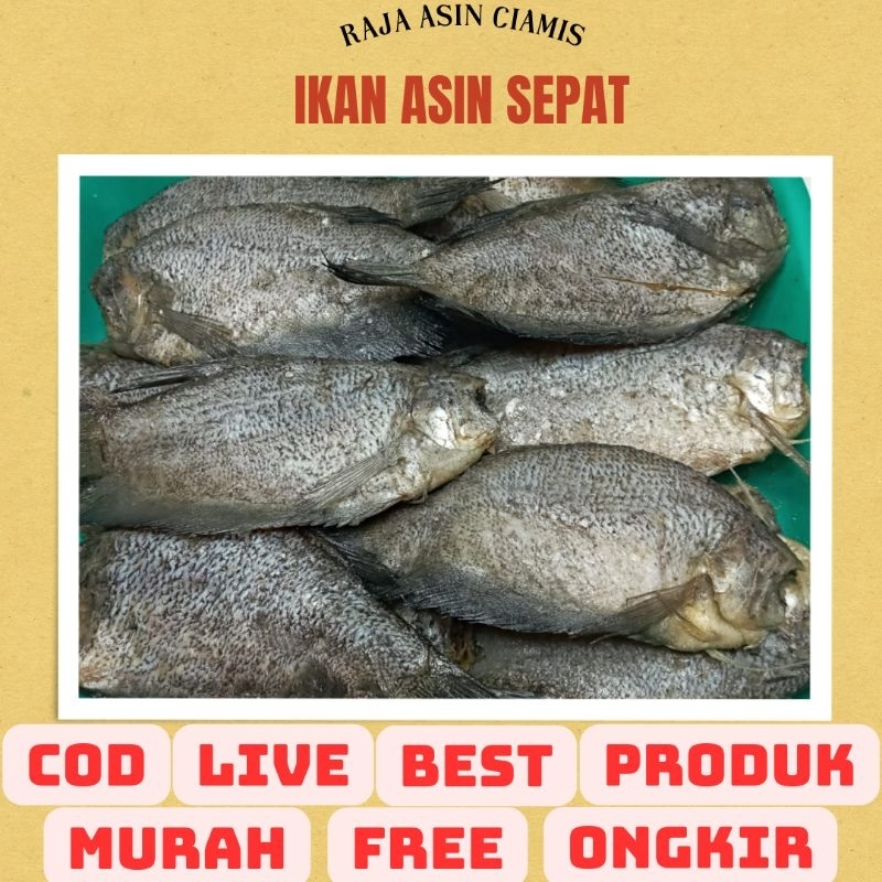 Jual IKAN ASIN SEPAT (1kg, 500grm & 250grm) | Shopee Indonesia